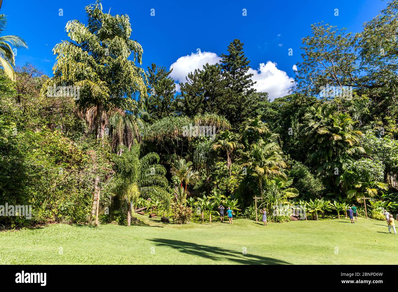 People in victoria island hi-res stock photography and images - Alamy