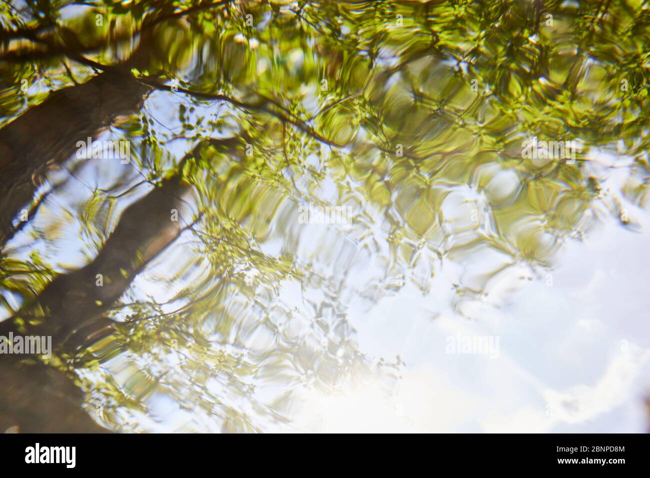 Lake, water, looking up Stock Photo - Alamy