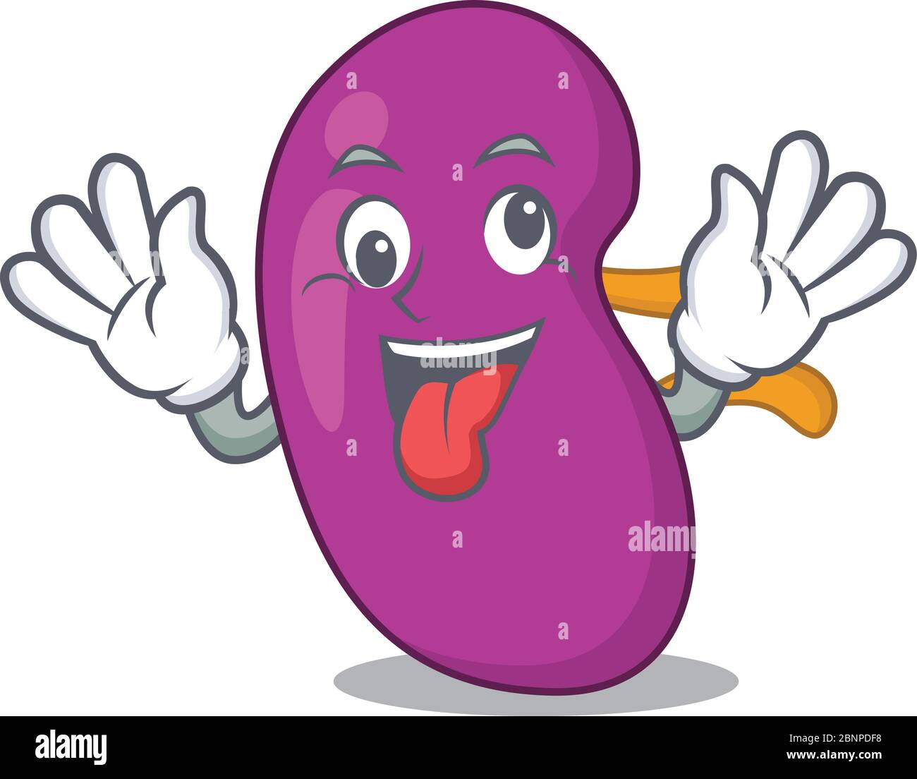 Fun Kidney Clipart