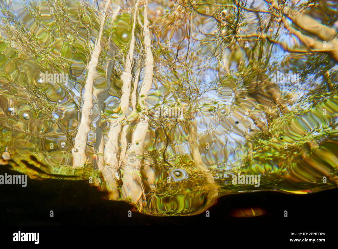 Lake, water, looking up Stock Photo - Alamy