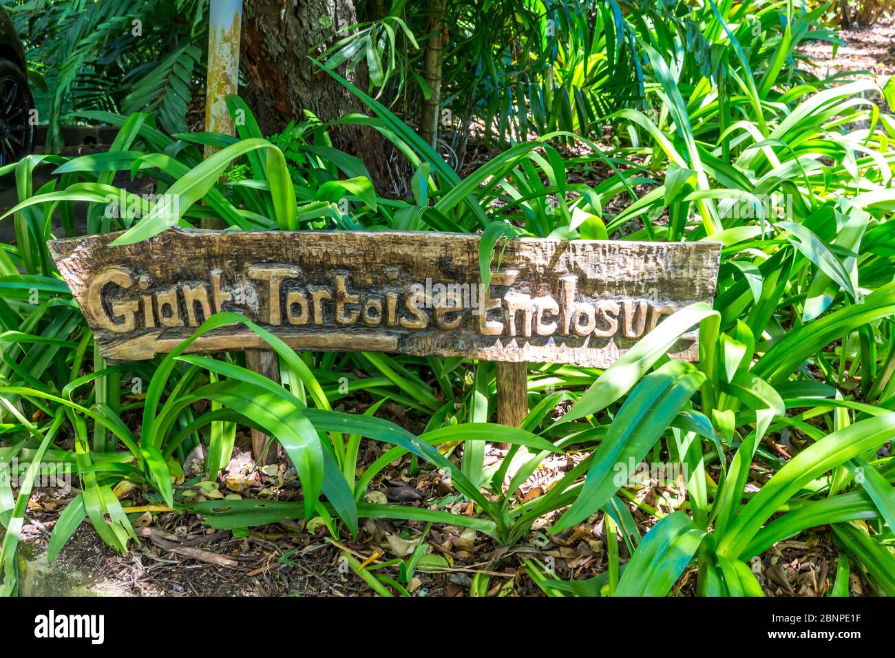 Shield, giant tortoise enclosure, botanical garden, Victoria, Mahé ...