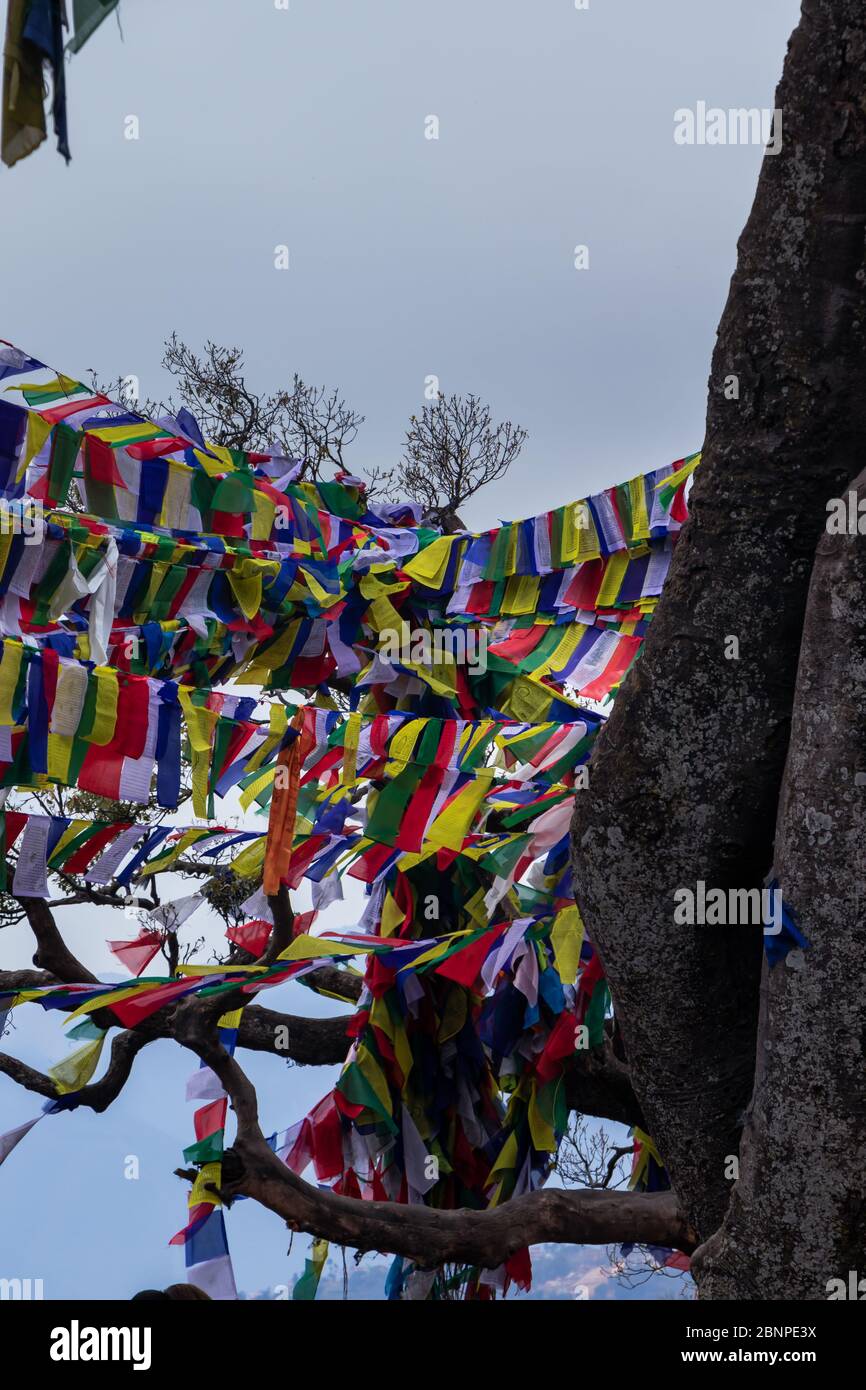 Prayer flag through the tree at Swayambhunath, Kathmandu, Nepal Stock ...