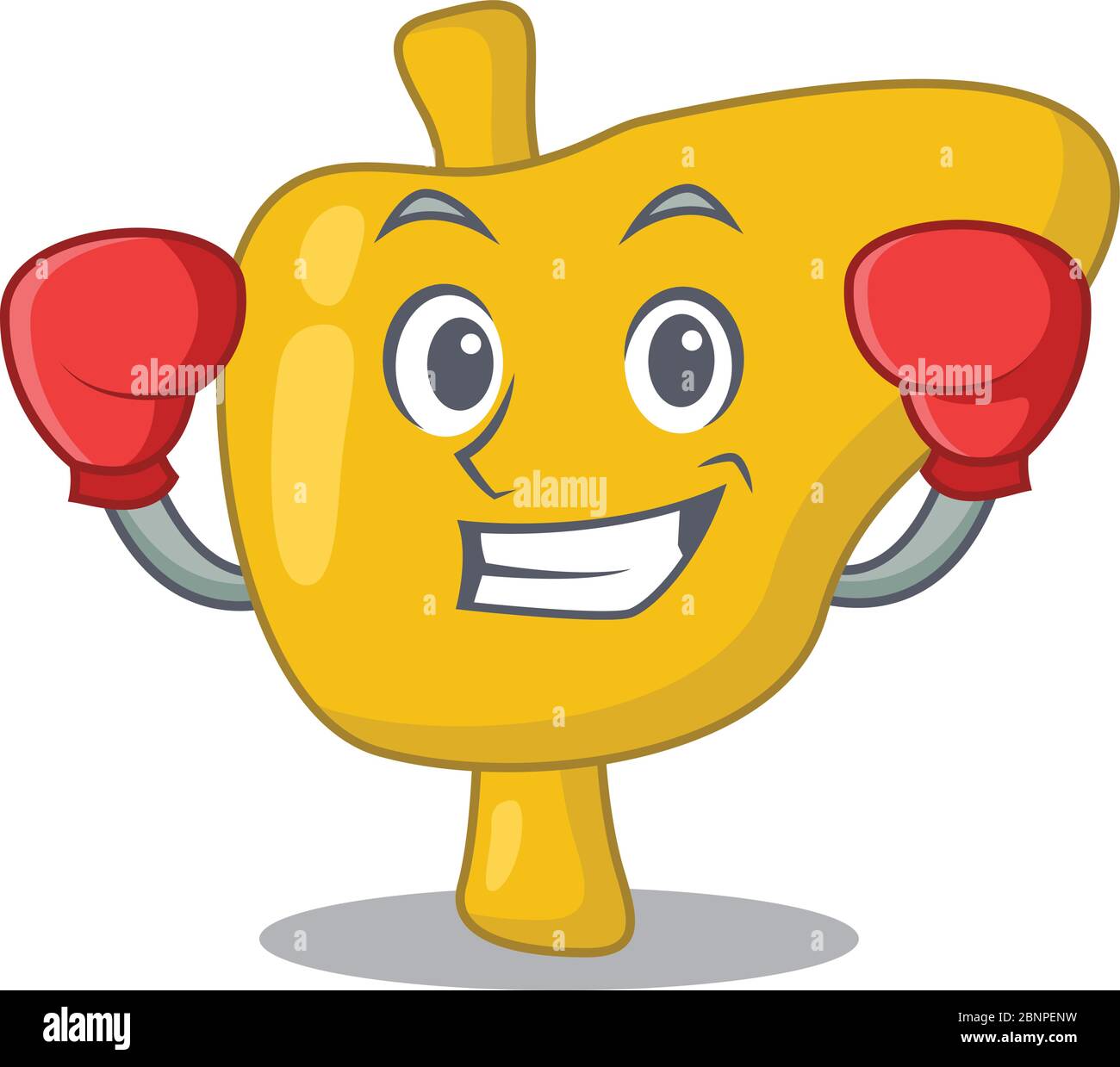 Mascot design of liver as a sporty boxing athlete Stock Vector Image ...