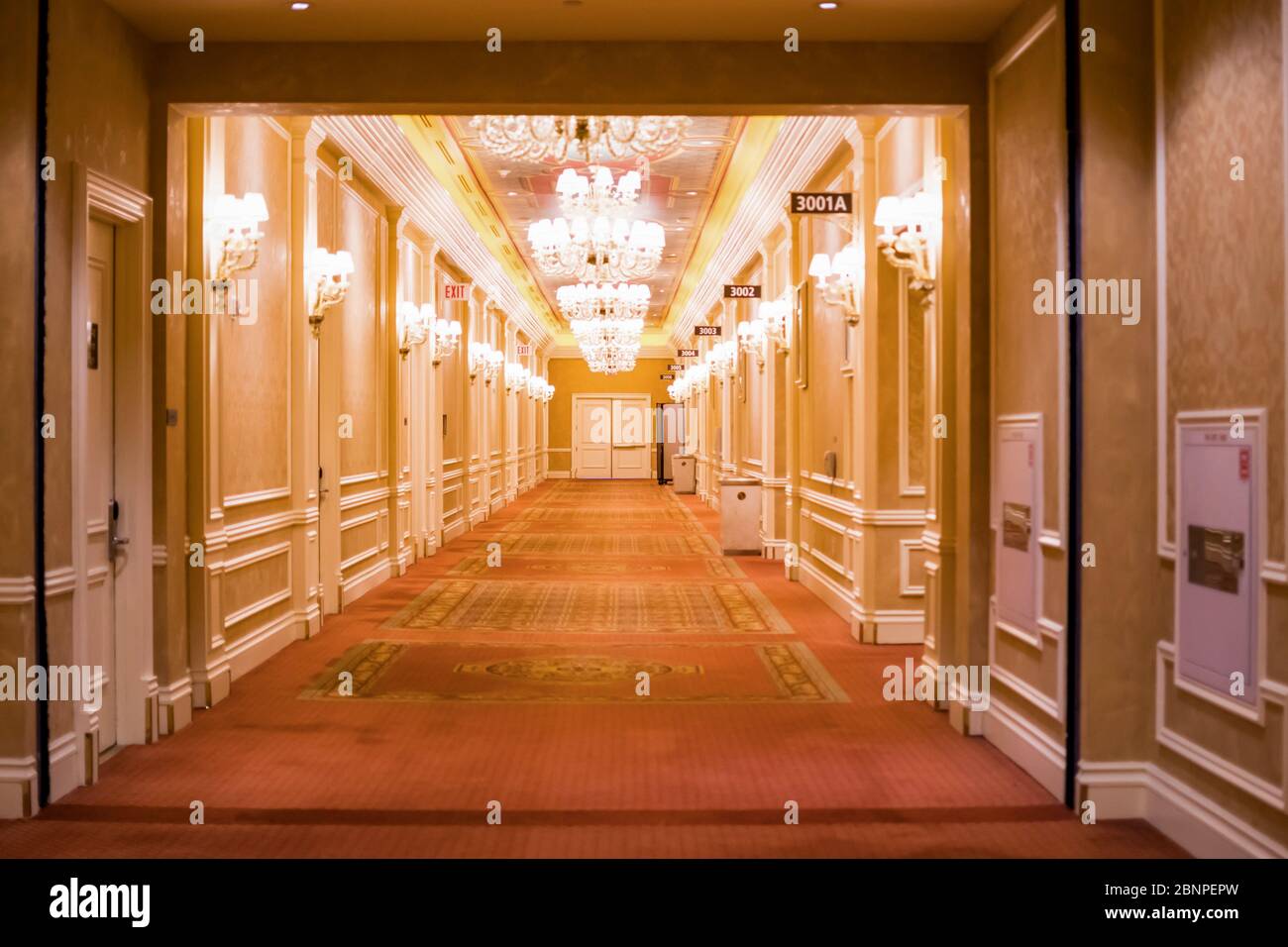 Inside The Venetian Resort Hotel & Casino Las Vegas, Las Vegas Nevada ...