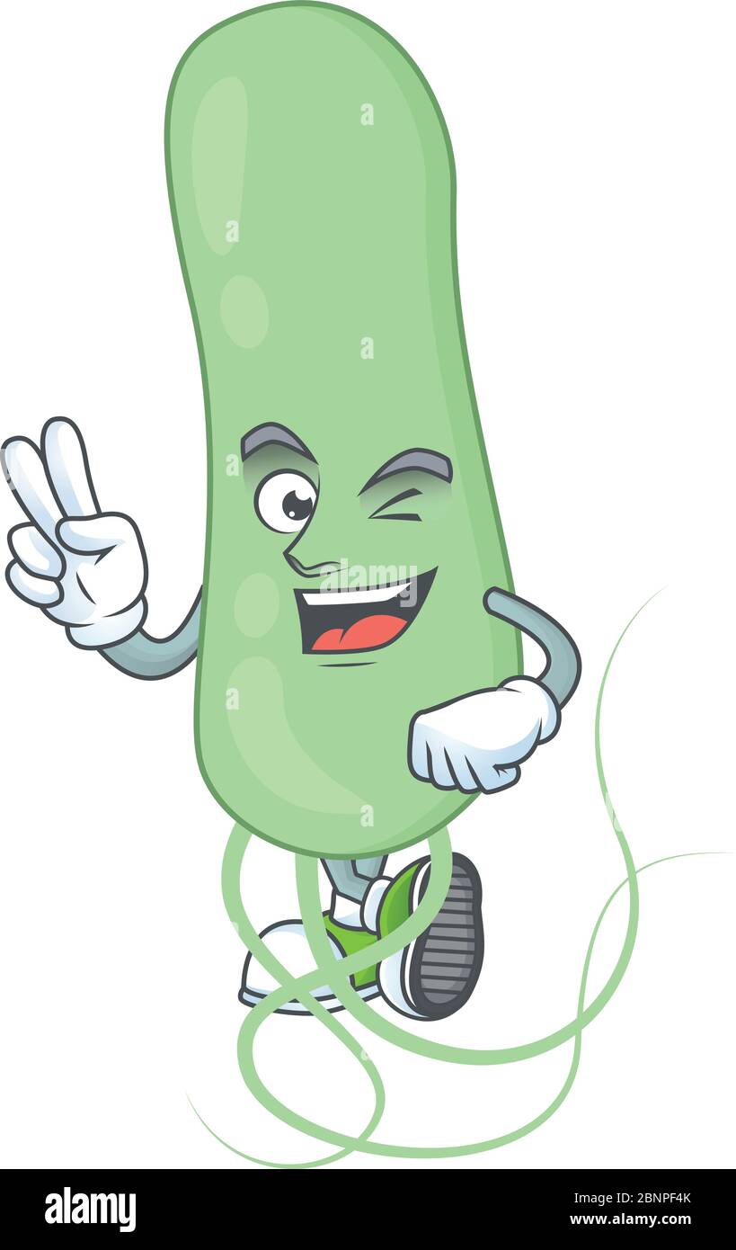 Aquificae hi-res stock photography and images - Alamy