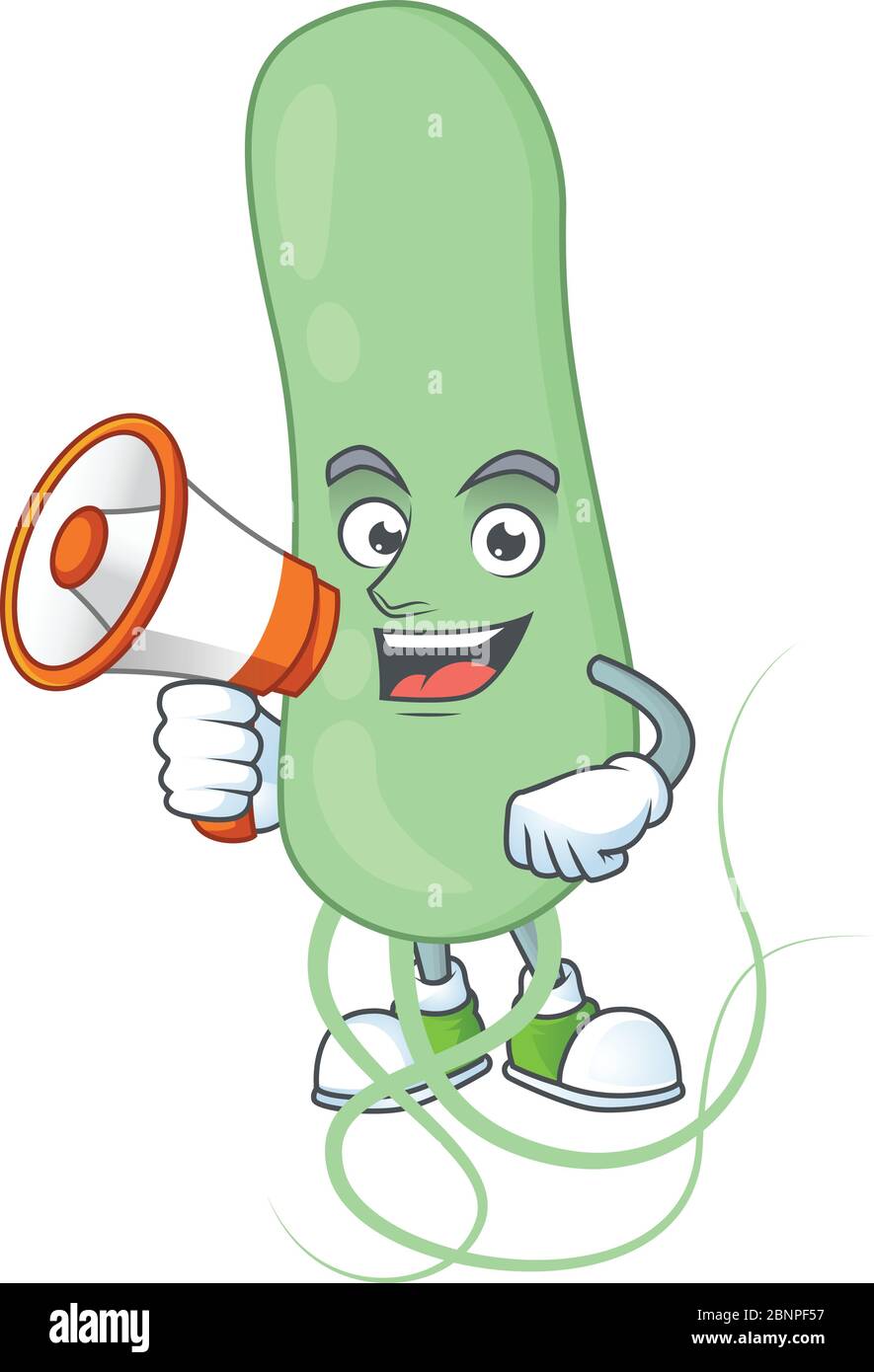 Aquificae hi-res stock photography and images - Alamy