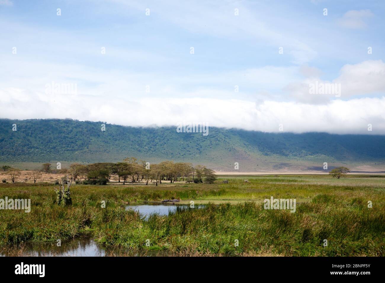 Ngorongoro crater beautiful landscape, Tanzania, Africa. Ngorongoro ...