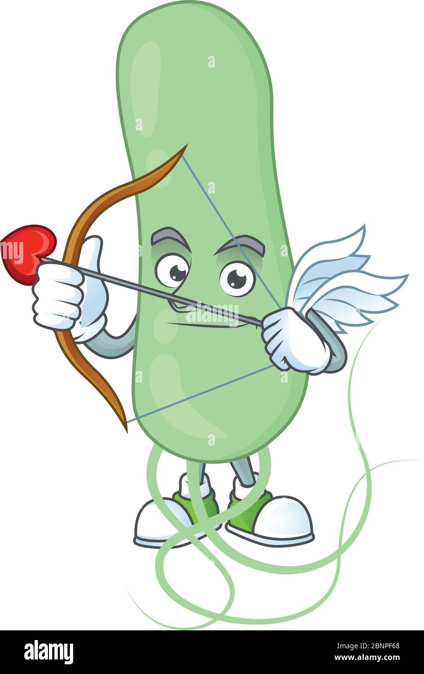 Aquificae hi-res stock photography and images - Alamy