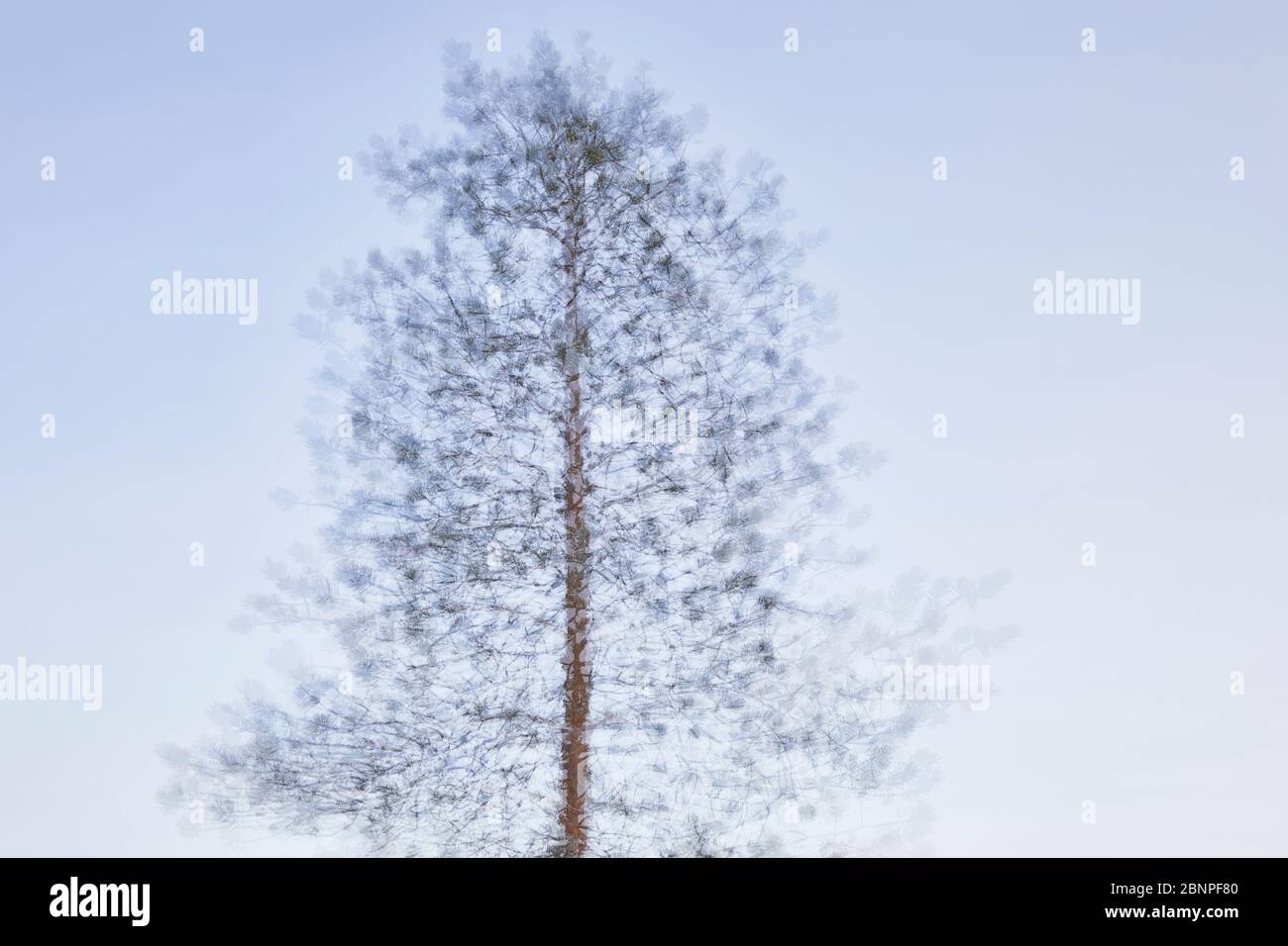 Finland winter activity hi-res stock photography and images - Alamy
