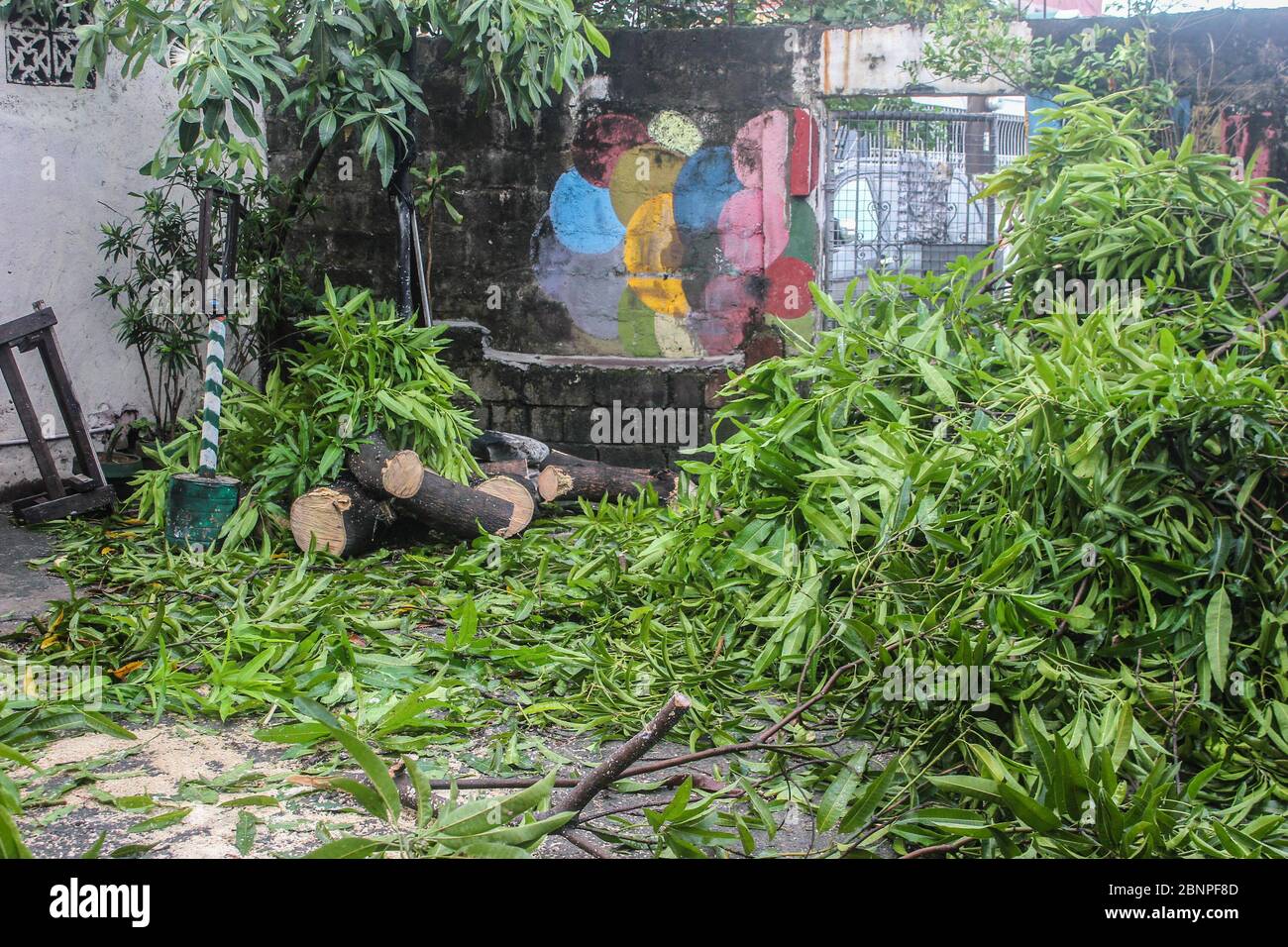 50 mph winds hi-res stock photography and images - Alamy