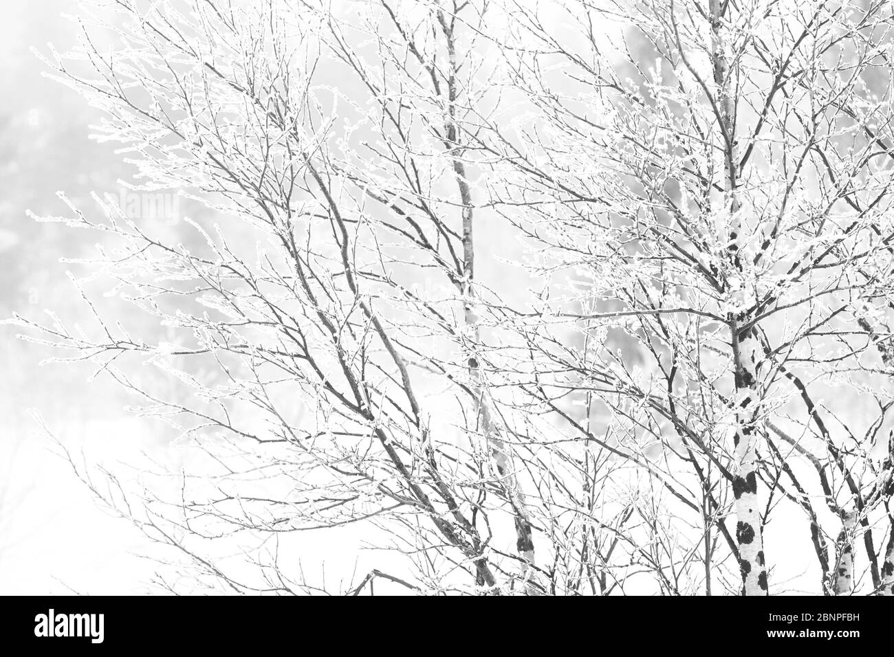 Finland nature people Black and White Stock Photos & Images - Alamy