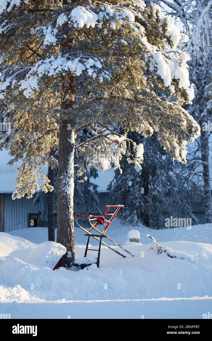 Finland, Lapland, winter, kick sledge Stock Photo - Alamy