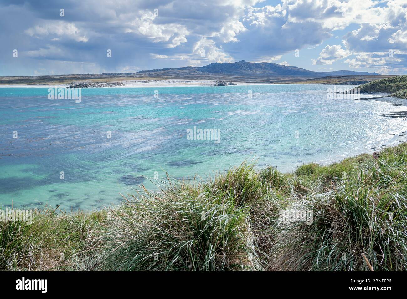 East island falkland islands hi-res stock photography and images - Alamy