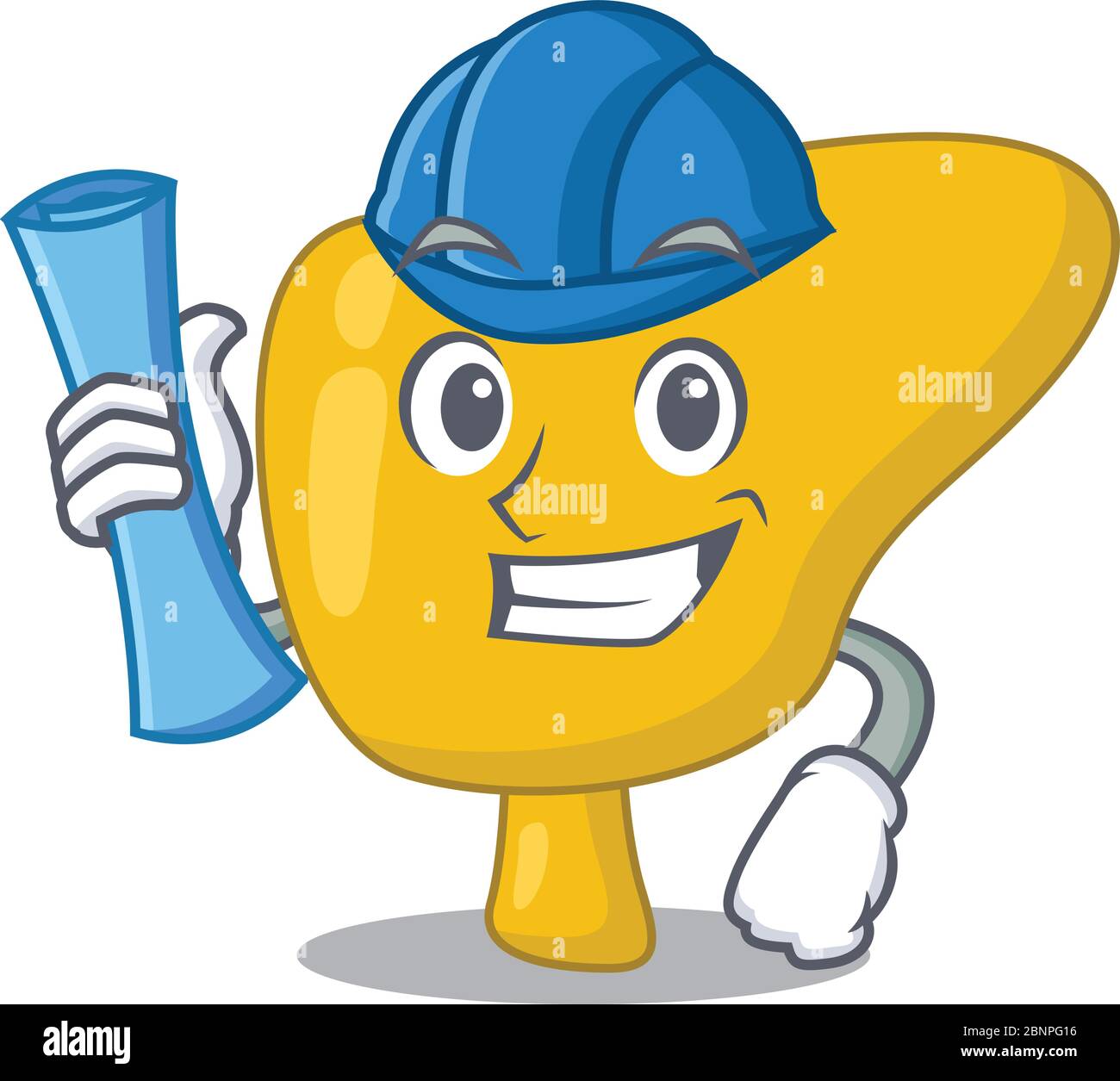 caricature picture of liver Architect with blue prints Stock Vector ...