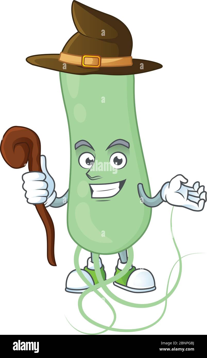 Aquificae hi-res stock photography and images - Alamy