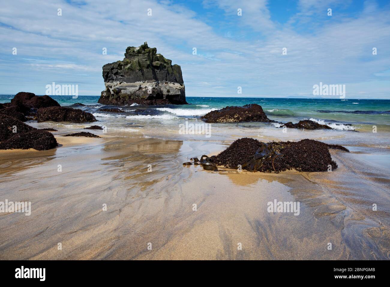 Sandy beach and algae-covered basalt cliffs in Skardsvik Bay near ...