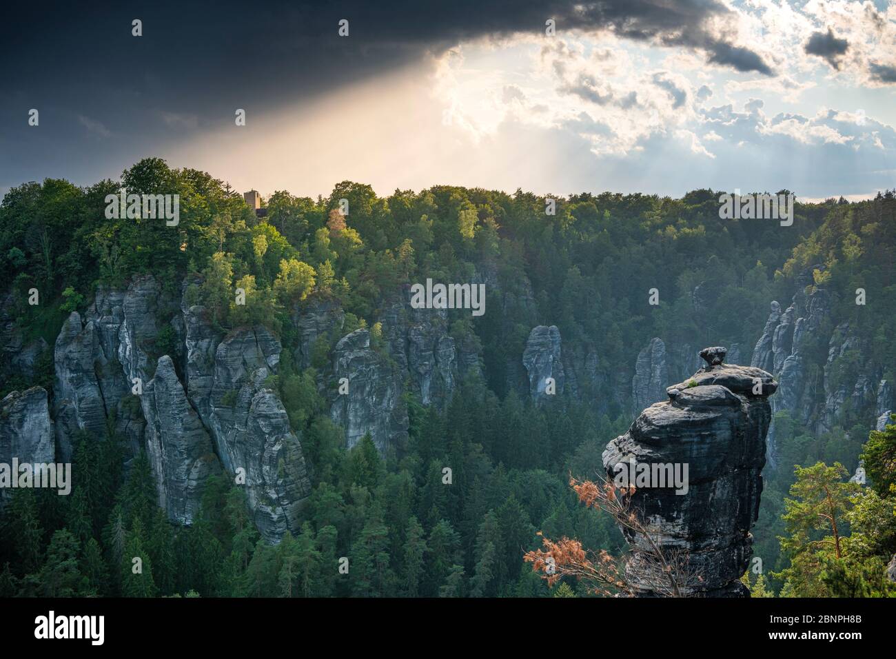 Rock needle in the forest hi-res stock photography and images - Alamy