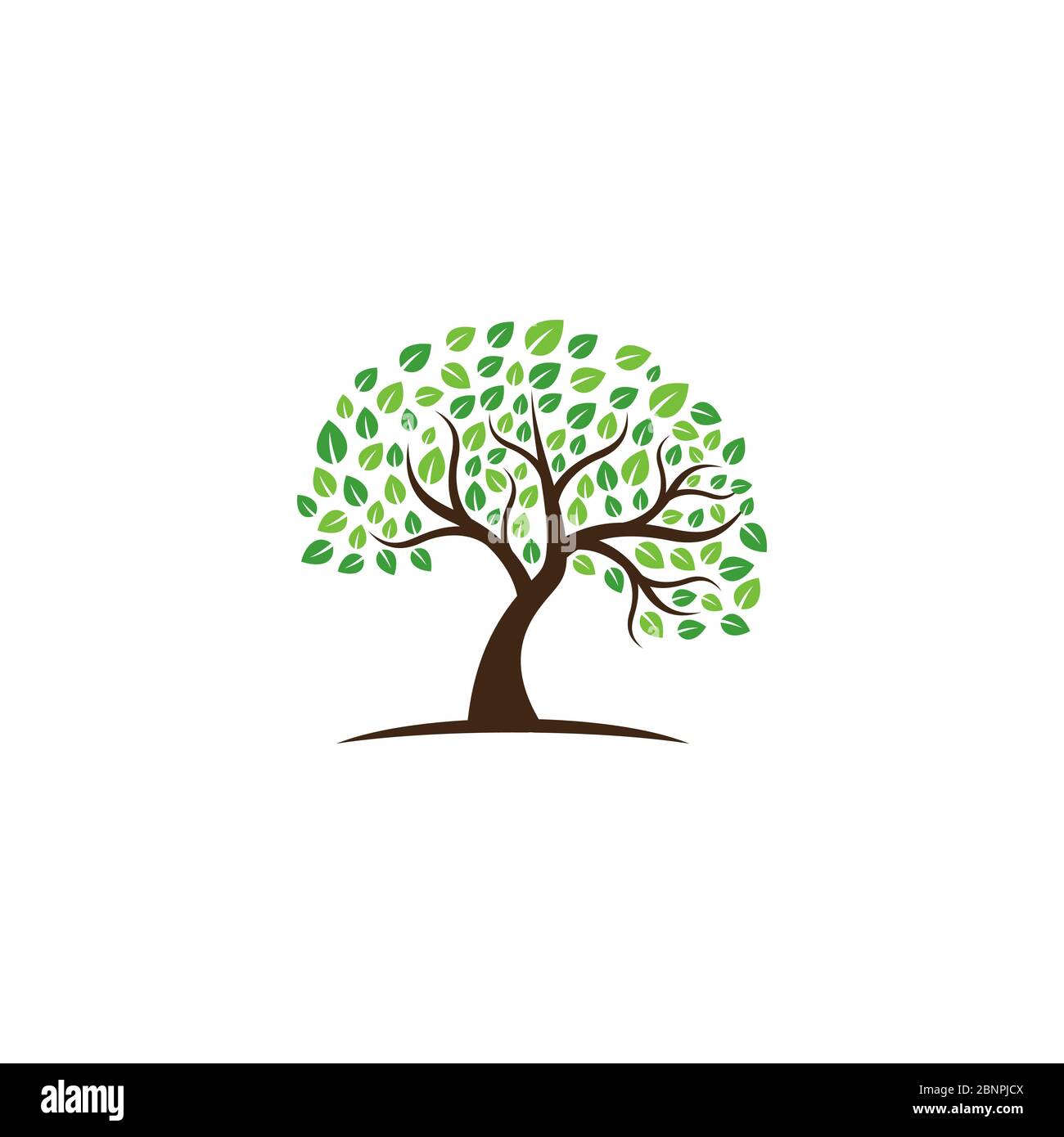 What tree is this Stock Vector Images - Alamy