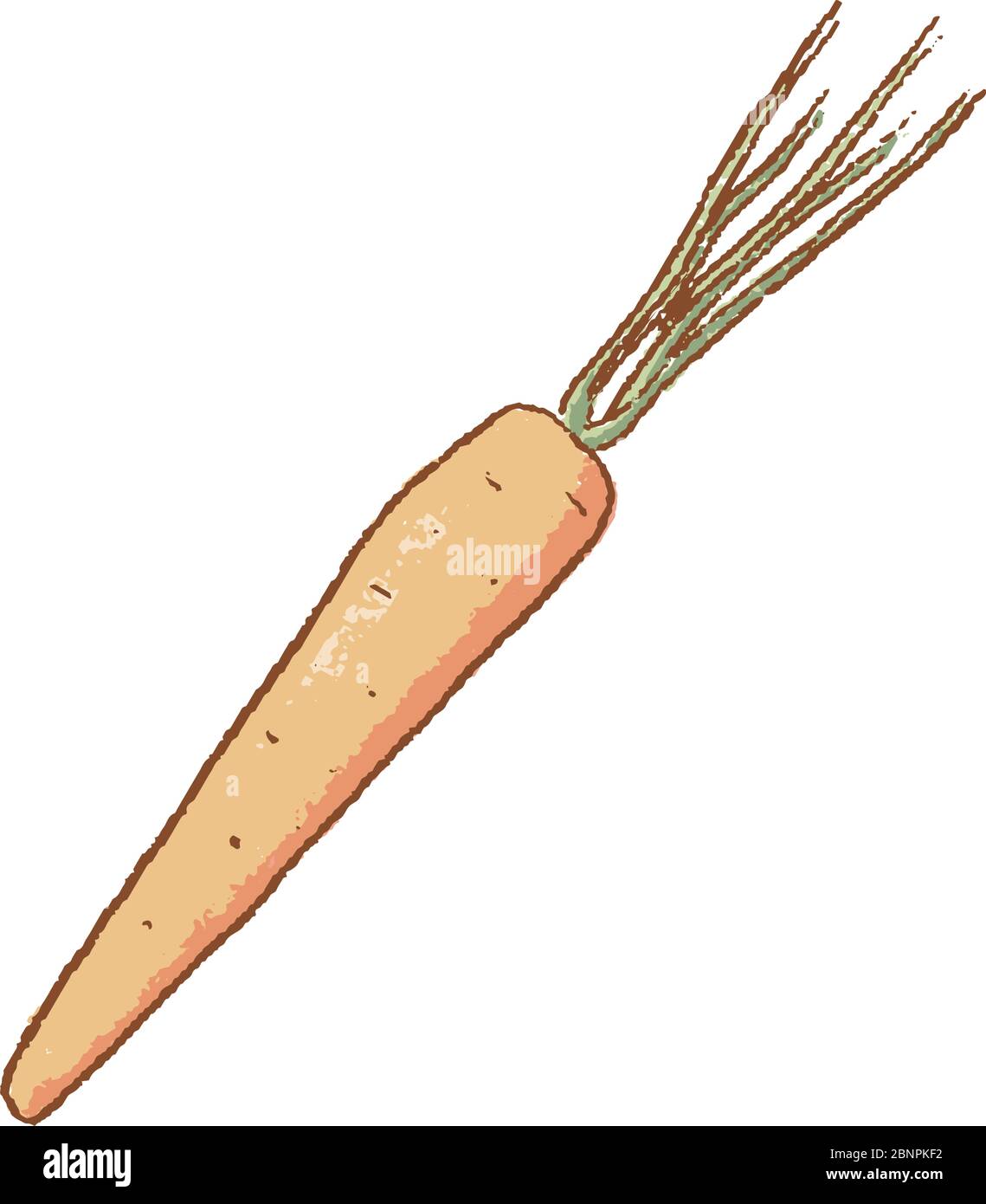 Fresh Carrot with green stems isolated icon. Spring. Rareripes ...