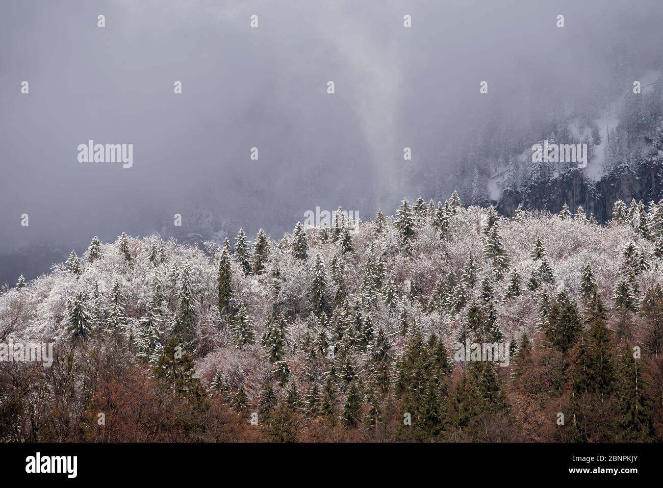 France, Haute-Savoie, Alps,snow and fog Stock Photo - Alamy