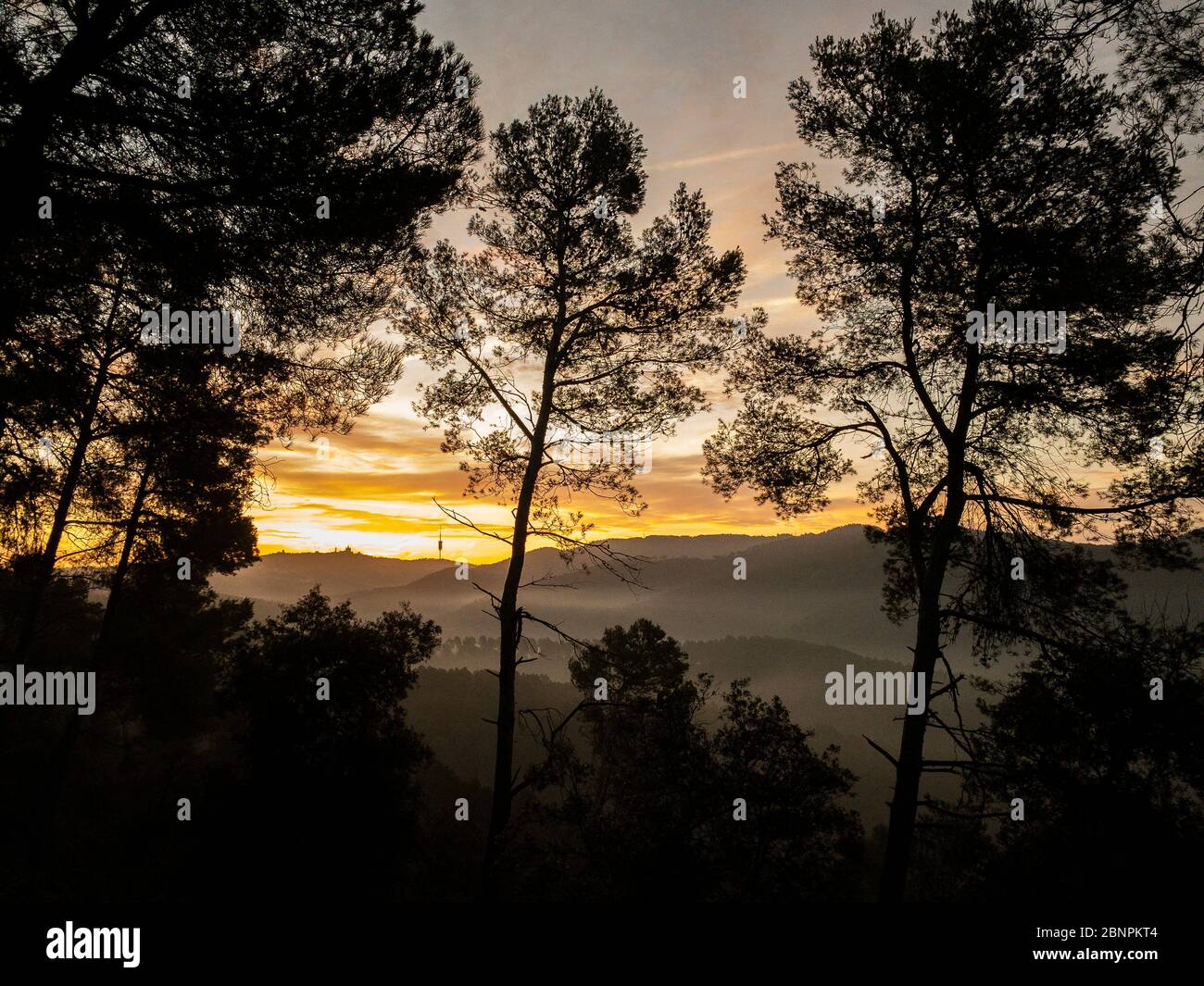 Landscape in the Collserola forest overlooking the Tibidabo mountain in ...