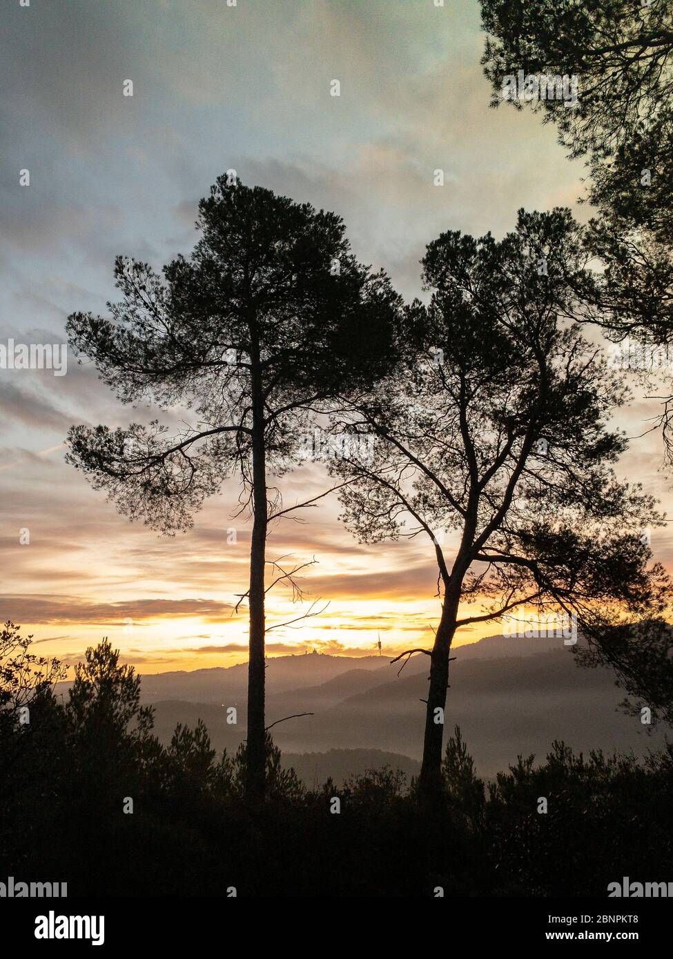 Landscape in the Collserola forest overlooking the Tibidabo mountain in ...