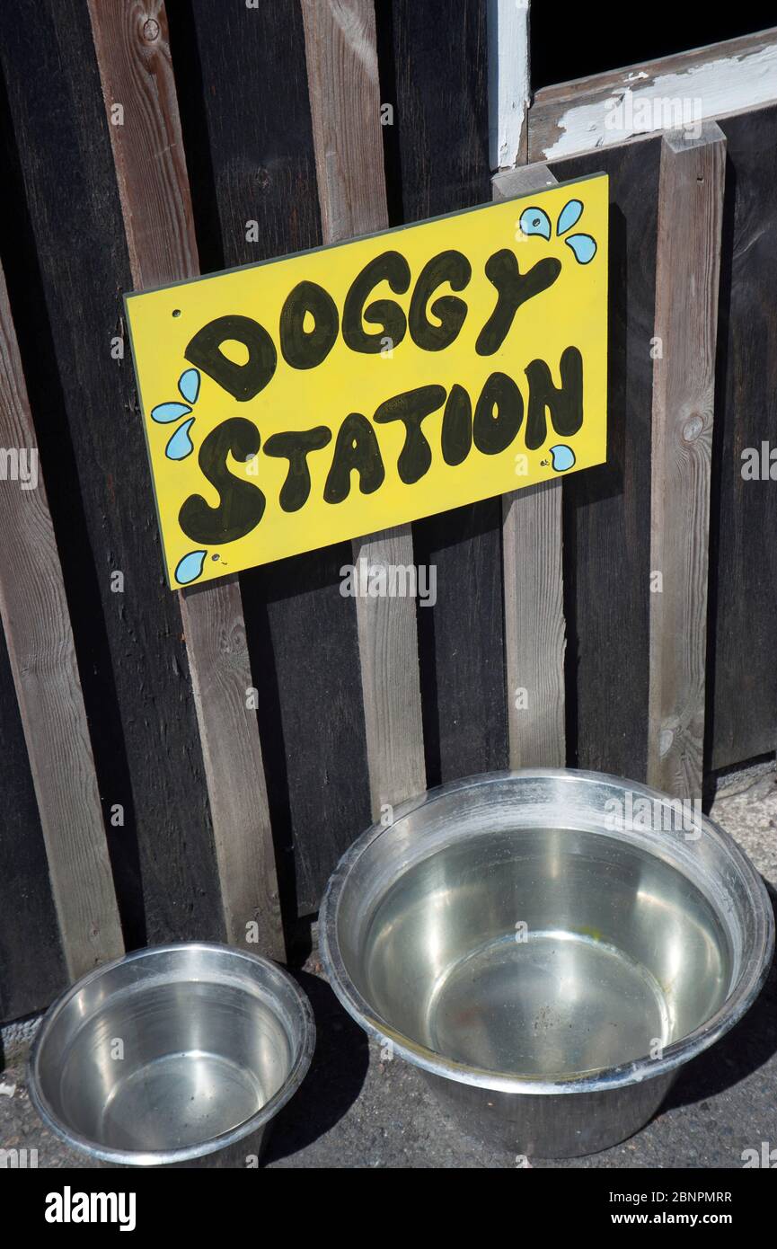 Dog drinking station hi-res stock photography and images - Alamy