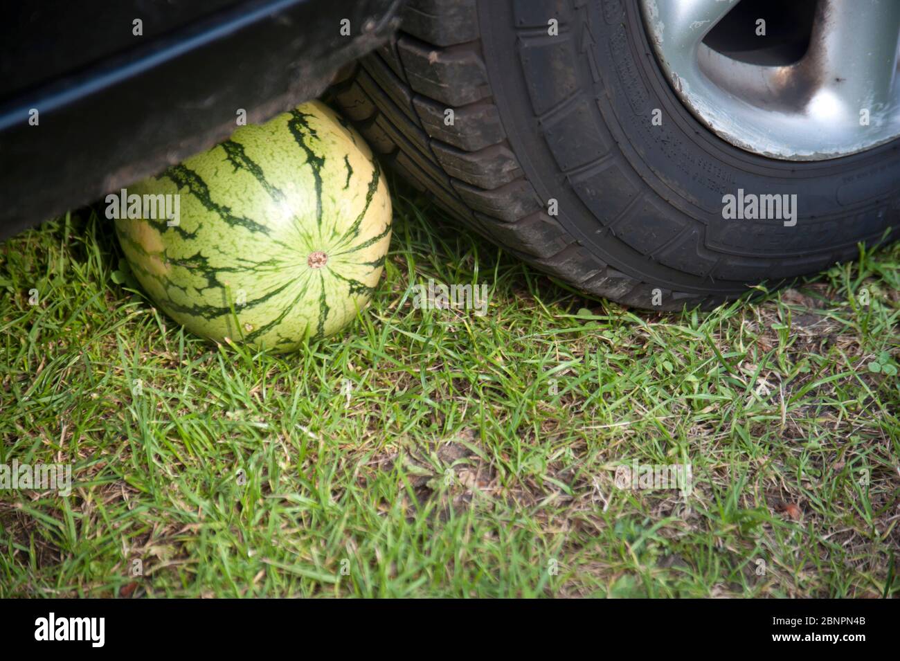 Car watermelon hi-res stock photography and images - Alamy