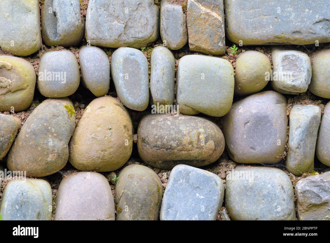 Pebble stone wall Stock Photo - Alamy