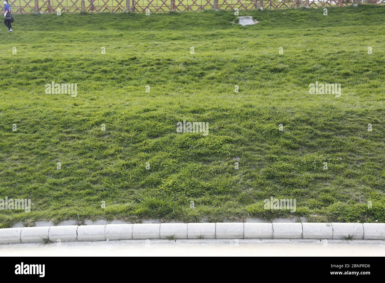 natural green grass texture on road Stock Photo - Alamy