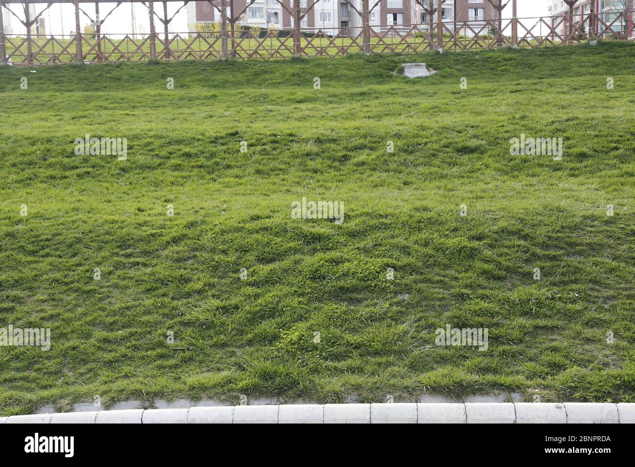 natural green grass texture on road Stock Photo - Alamy