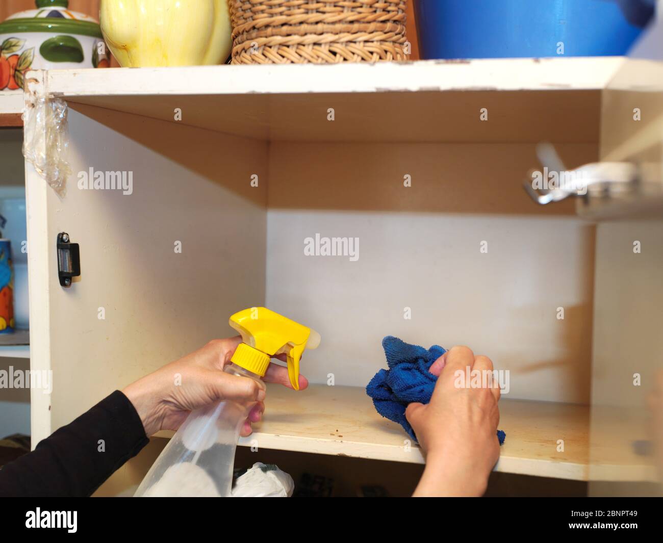 Female hand cleaning a cupboard with washing up liquid, indoor closeup ...
