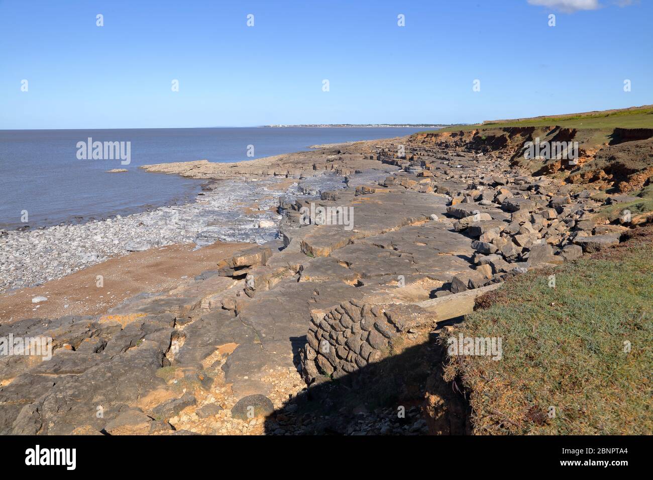 Welsh fossils hi-res stock photography and images - Alamy
