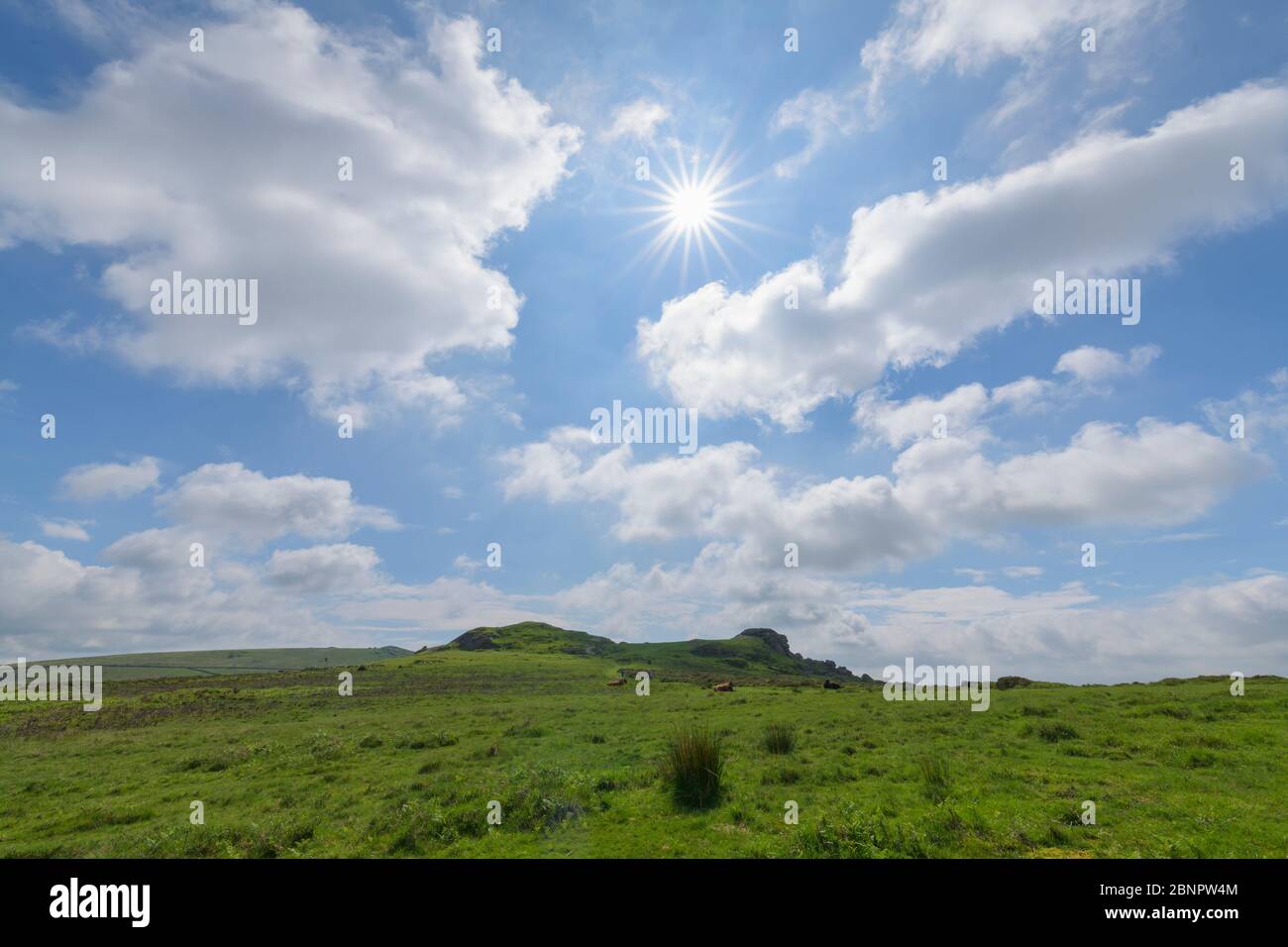 Landscape with sun in spring, Saddle tor, Newton Abbot, Dartmoor, Devon ...