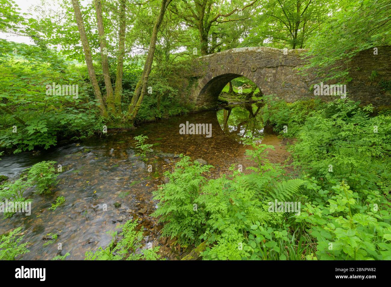 Stone bridge over river in the forest, Devon, England, United Kingdom ...