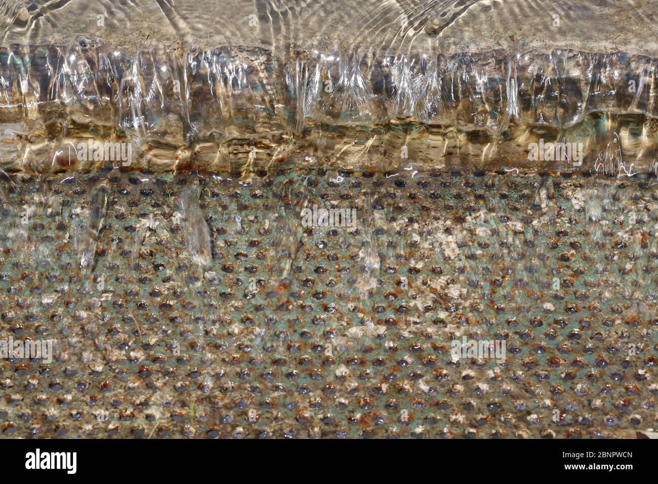 close up water background texture Stock Photo - Alamy