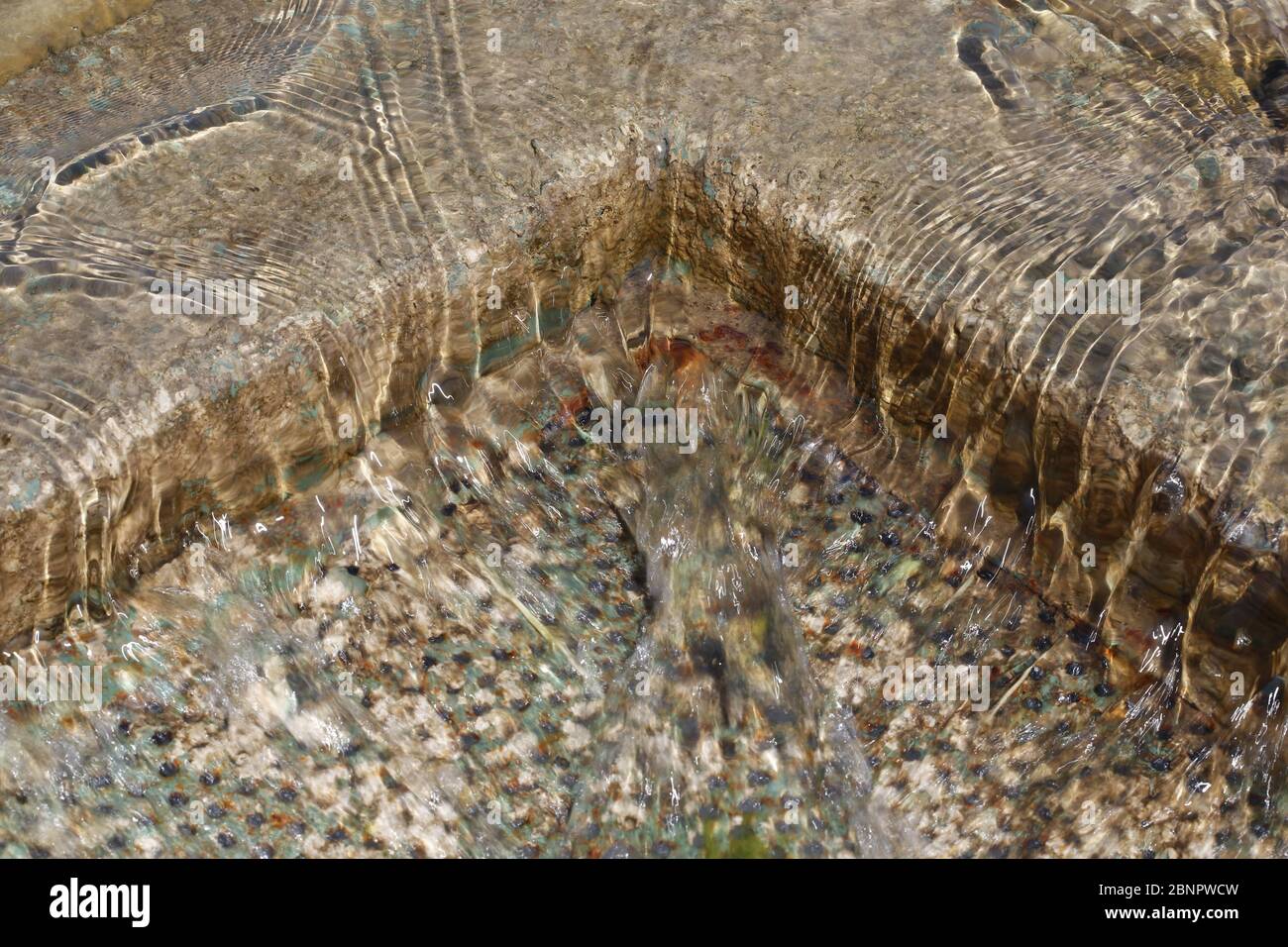 close up water background texture Stock Photo - Alamy