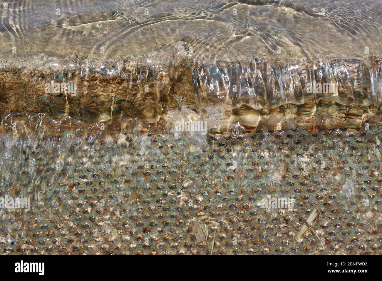 close up water background texture Stock Photo - Alamy
