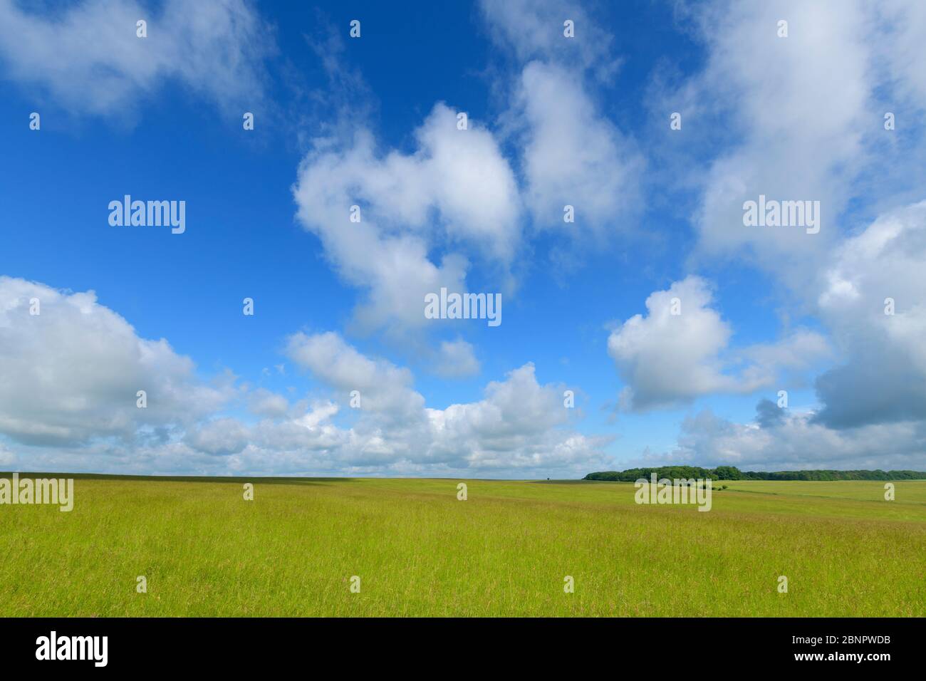 Landscape in summer, Stonehenge, Salisbury, England, South West England ...
