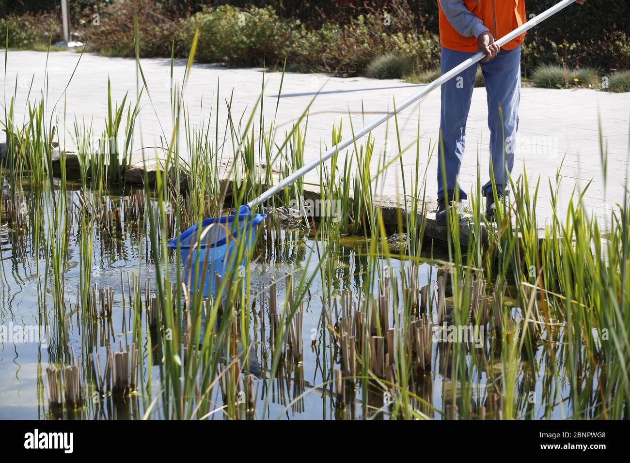 close up workers cleaning lakeshore Stock Photo - Alamy