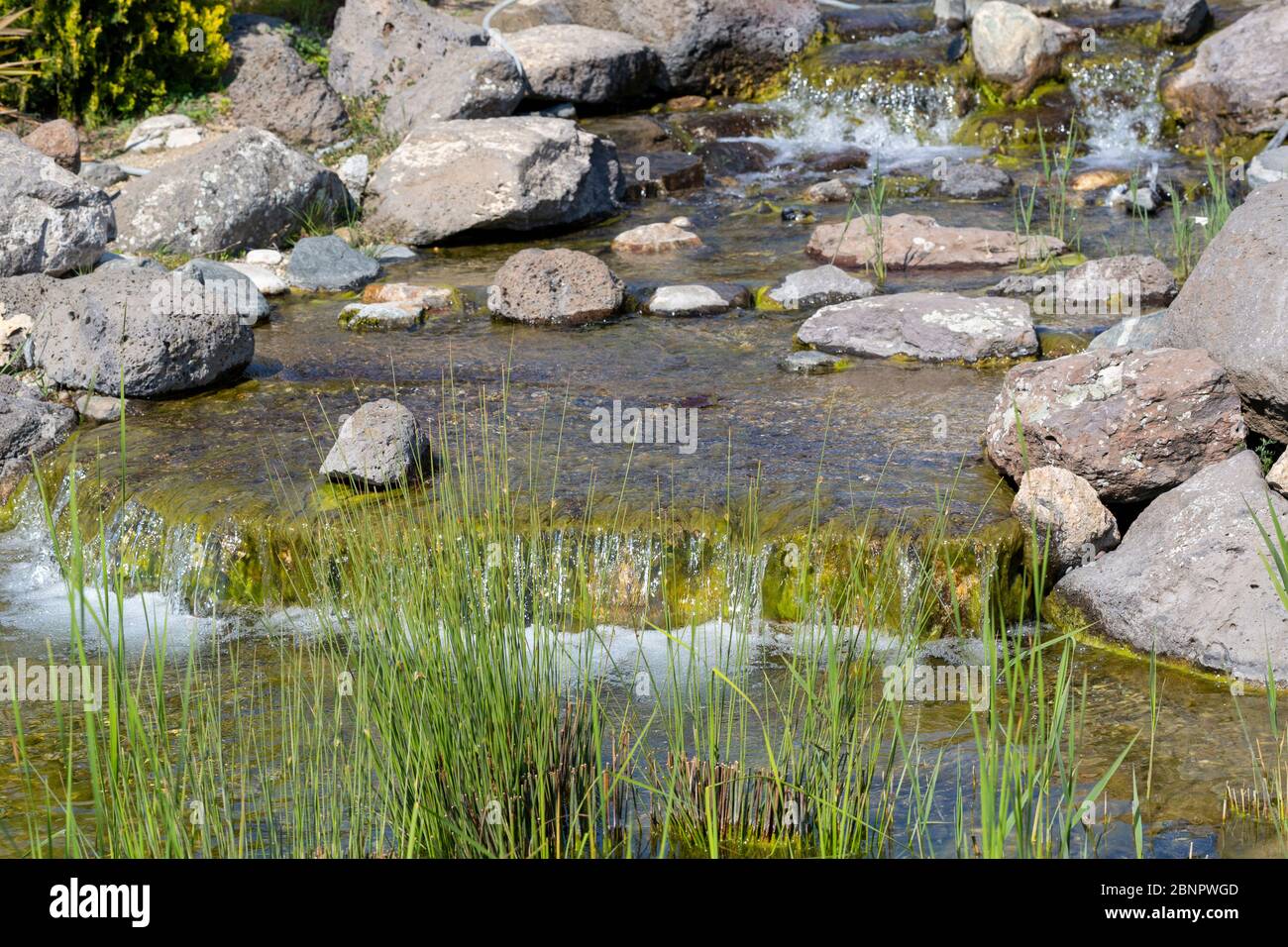 close up water background texture Stock Photo - Alamy