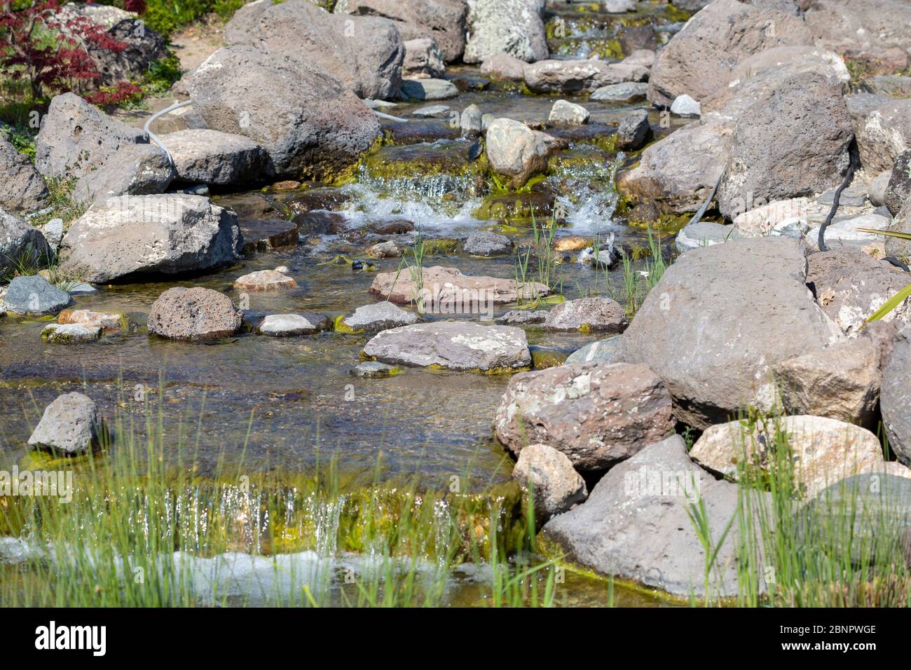 close up water background texture Stock Photo - Alamy