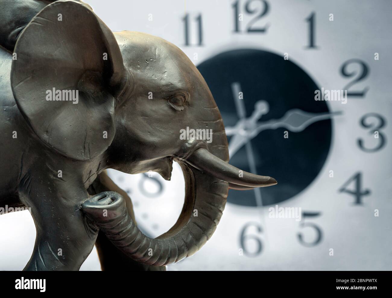 Elephant statue front of clock Stock Photo - Alamy