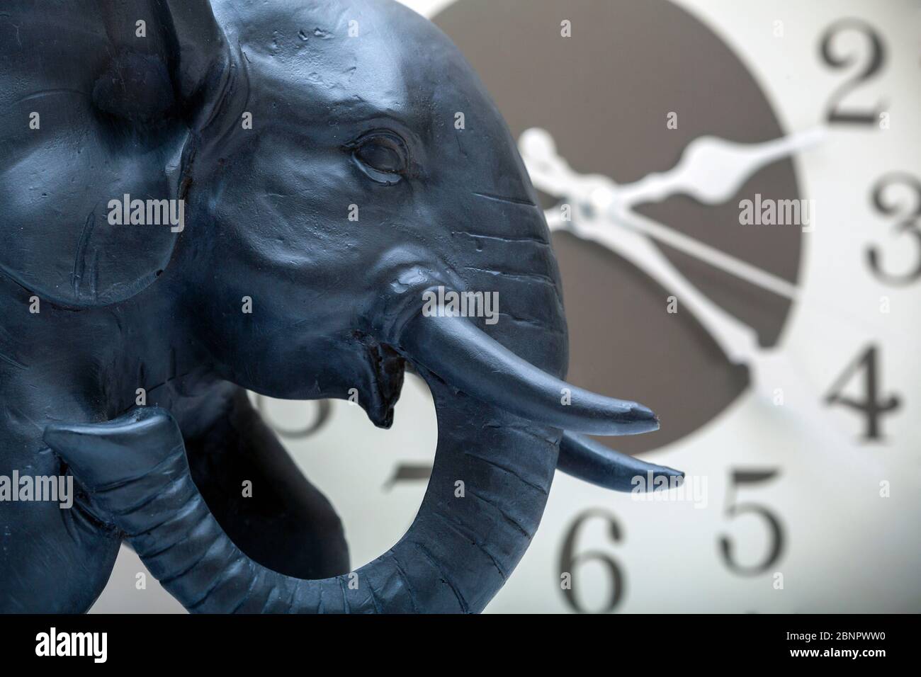 Elephant statue front of clock Stock Photo - Alamy