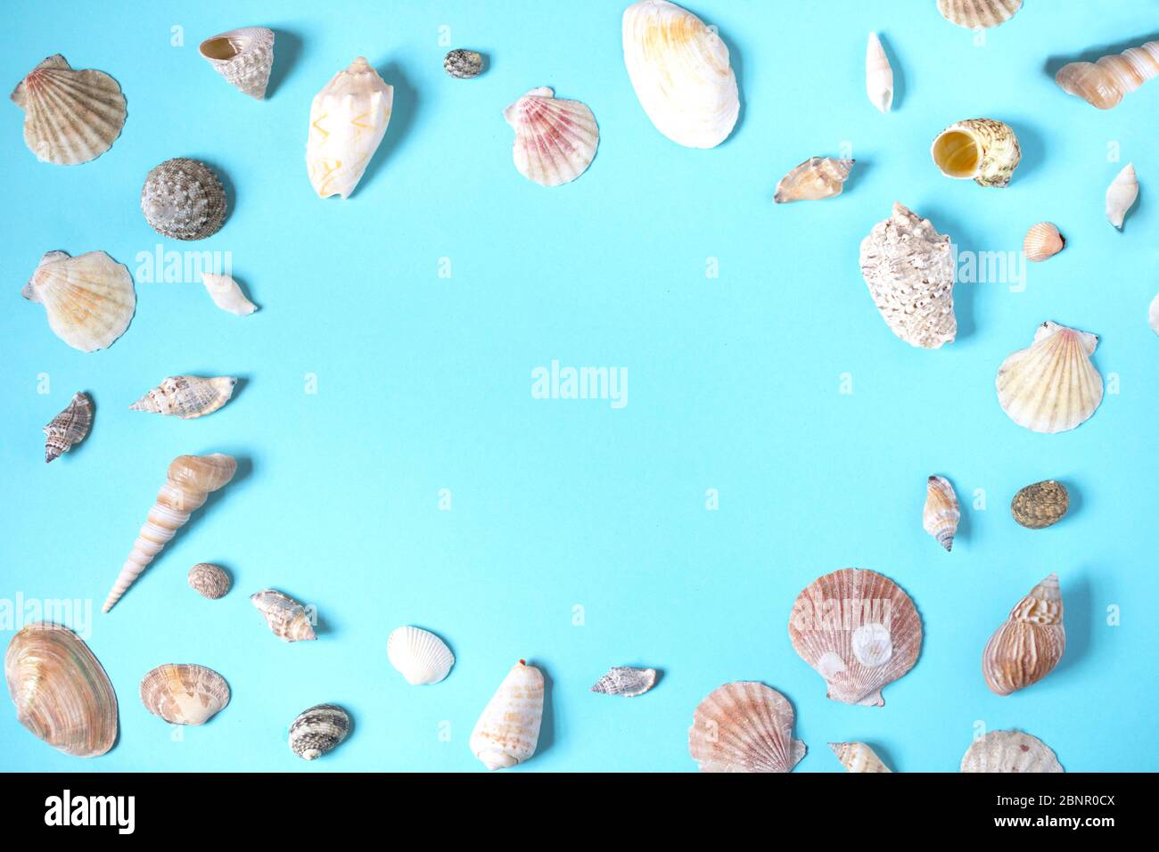 Beautiful seashells of different shapes on the blue background ocean ...