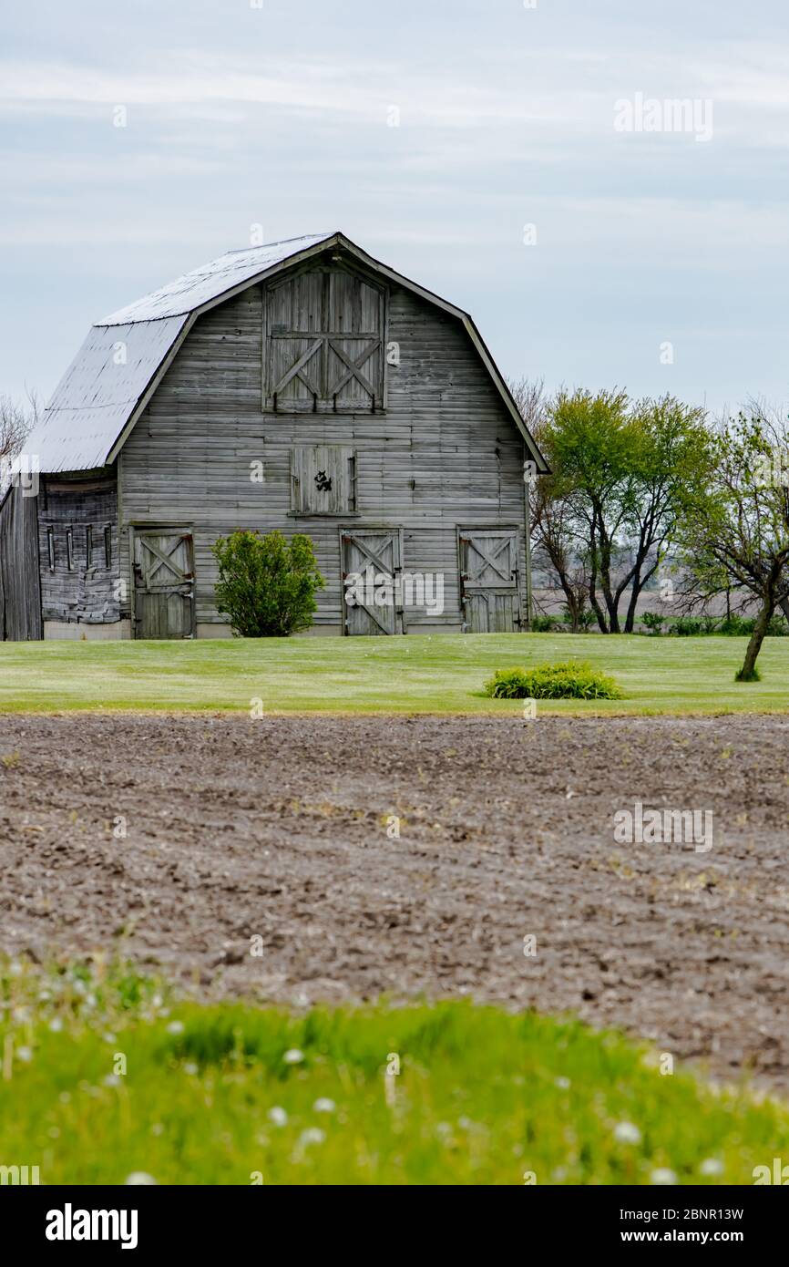 Old weathered grey wooden farmhouse barn in Illinois with green grass ...