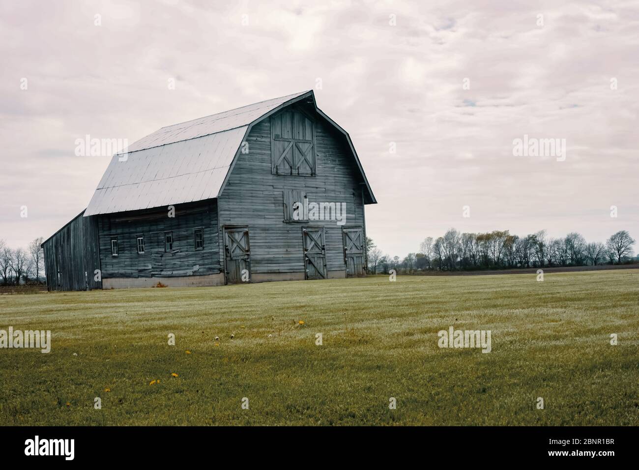 Old weathered grey wooden farmhouse barn in Illinois with green grass ...