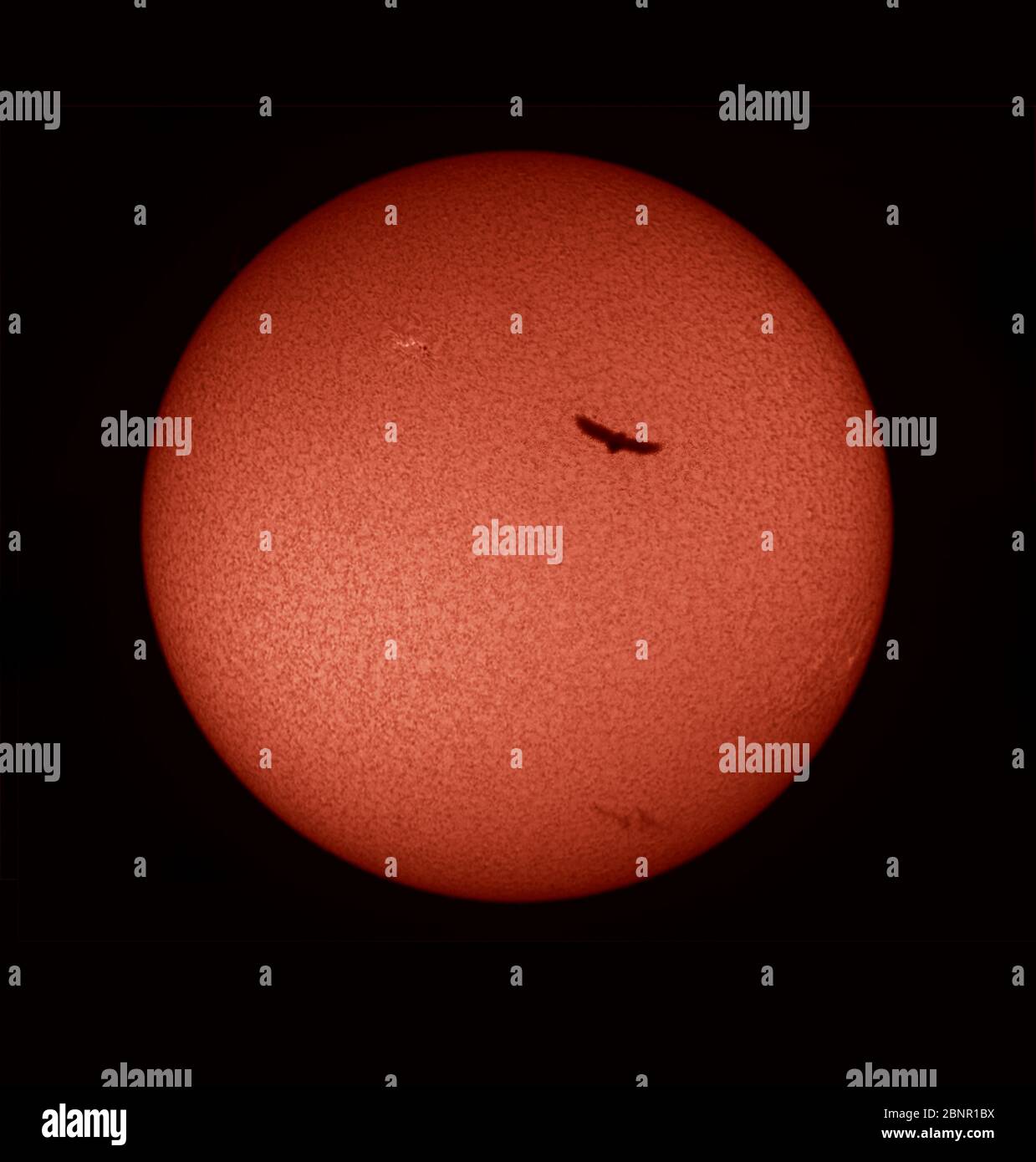 Bird flying in front of the solar disk, with surface activity visible ...