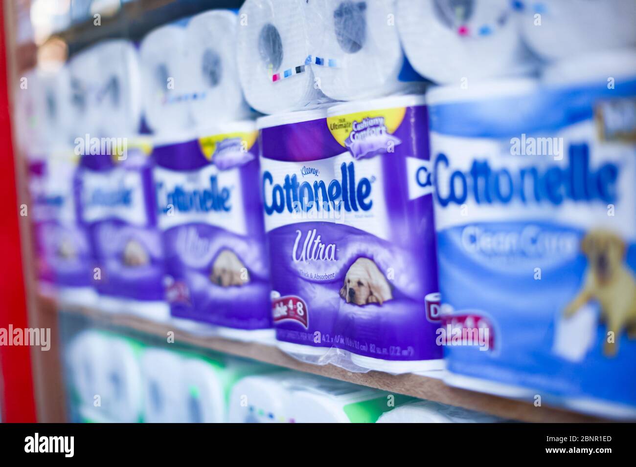 Rolls of tissue on stocked store shelves. Toilet paper in supermarket ...