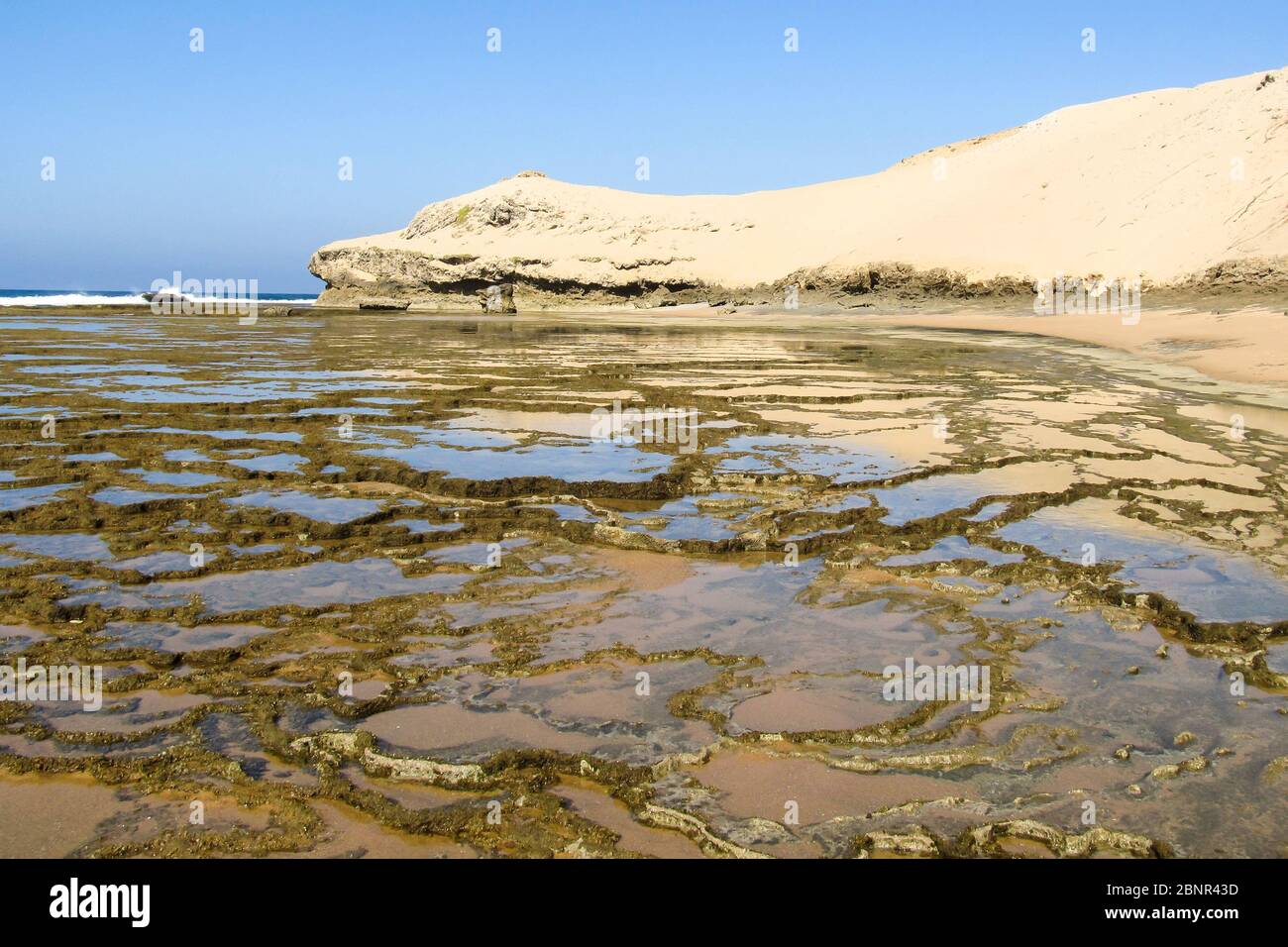 The ancient, fossilized dune system of Cabo Inhaca, on the North ...